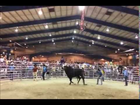 calsonic arena in shelbyville tennessee 2014 - YouTube