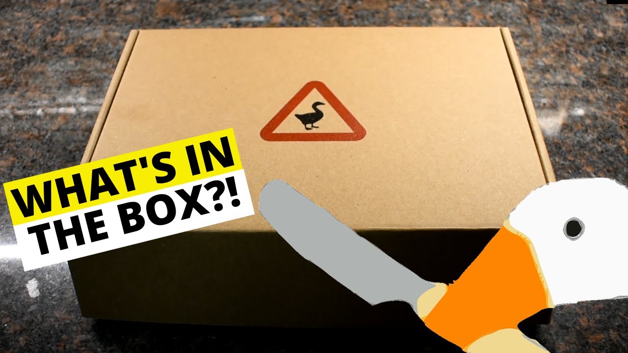 Unboxing an Untitled Goose Game surprise package! - YouTube