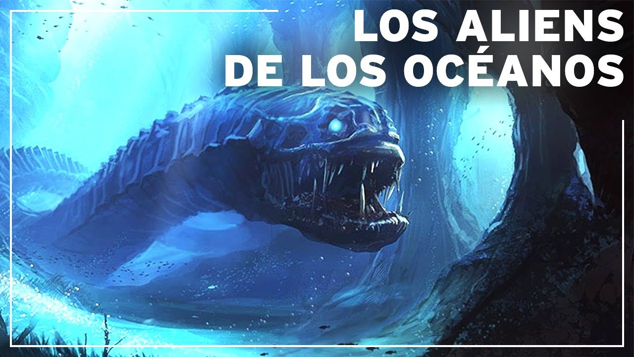 Los Extraterrestres Marinos : Un Viaje Extraordinario por nuestros ...