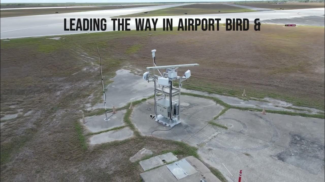 DeTect, Inc. Bird Detection Radar DDR System BS - YouTube