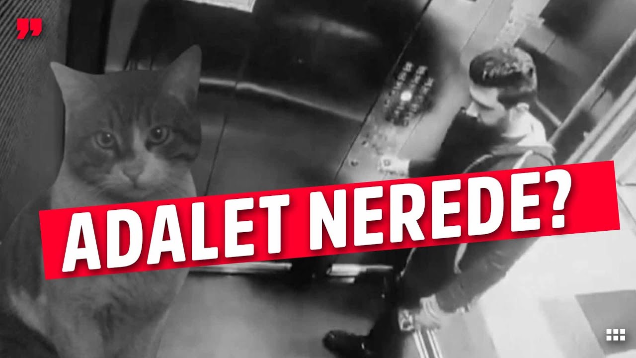 Adalet Nerede Youtube