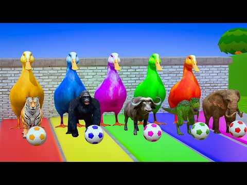 Long Slide Game with Colourful Duck Cow Tiger Gorilla Dog Elephant 3d Animal Game Funny 3d Animals