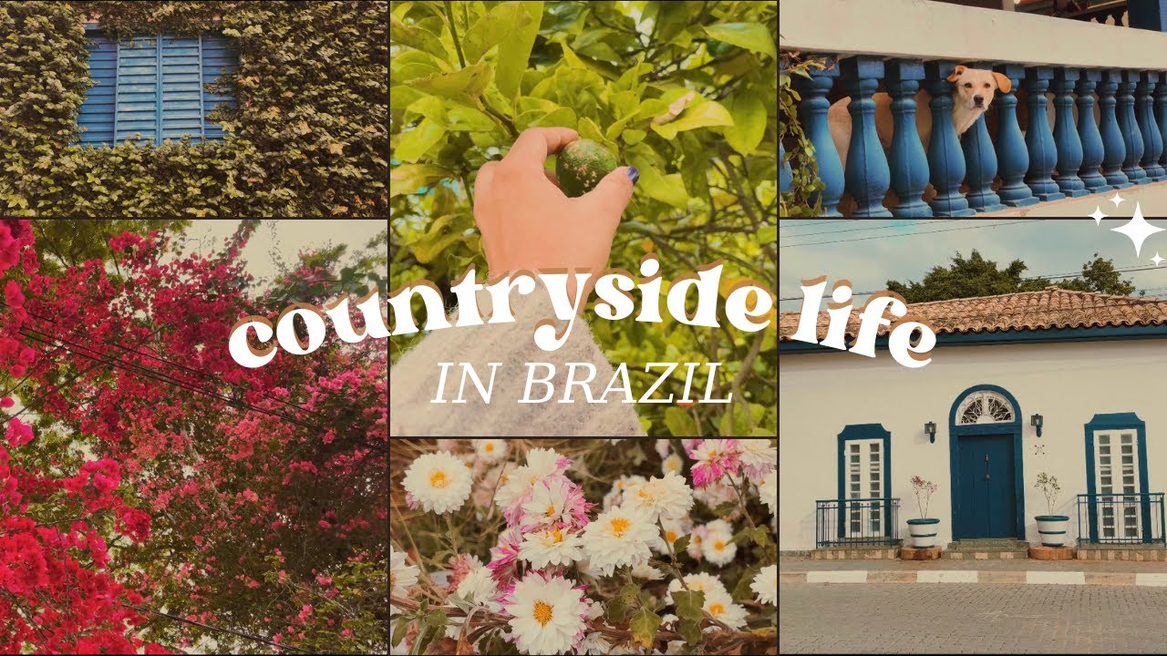 Simple Life In Brazilian Countryside - YouTube