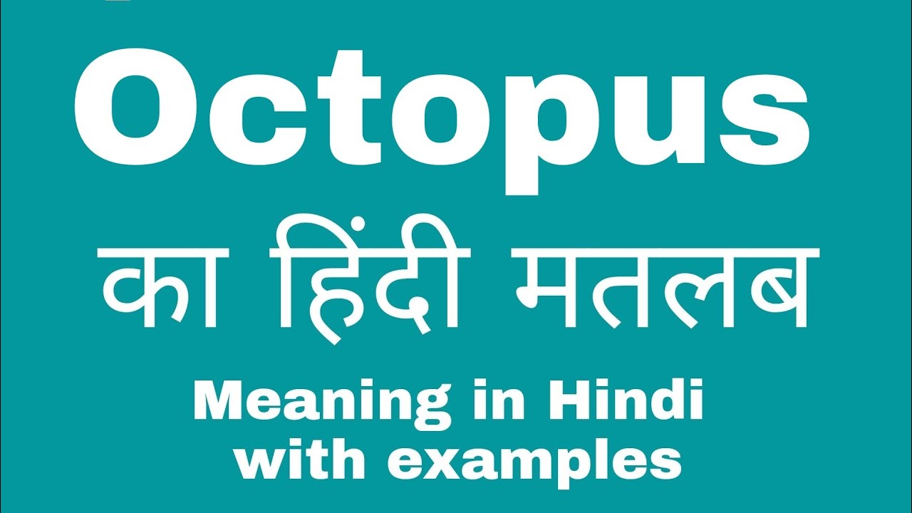 Octopus Meaning In Hindi Octopus octopus-meaning-in-hindi-octopus