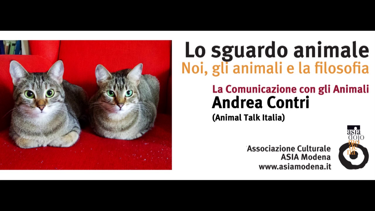 La Comunicazione Intuitiva con gli Animali | Andrea Contri - YouTube