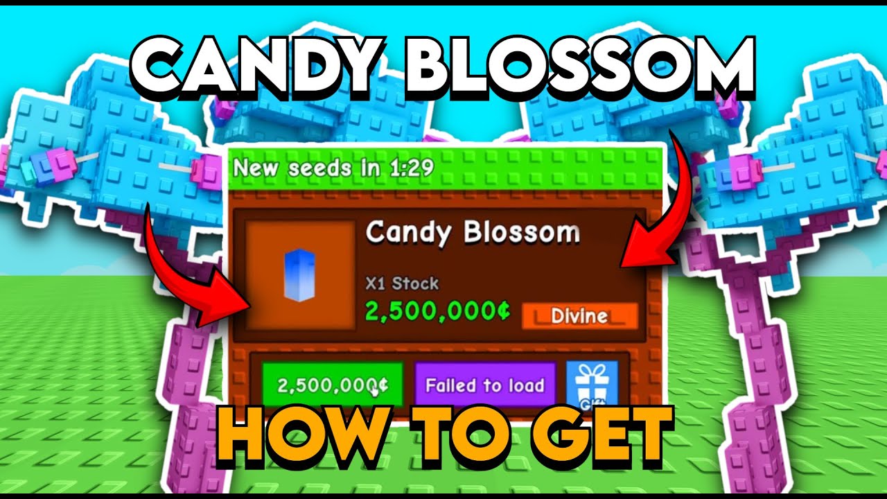 How to get CANDY BLOSSOM in Grow a Garden for FREE (EASY METHOD in ...