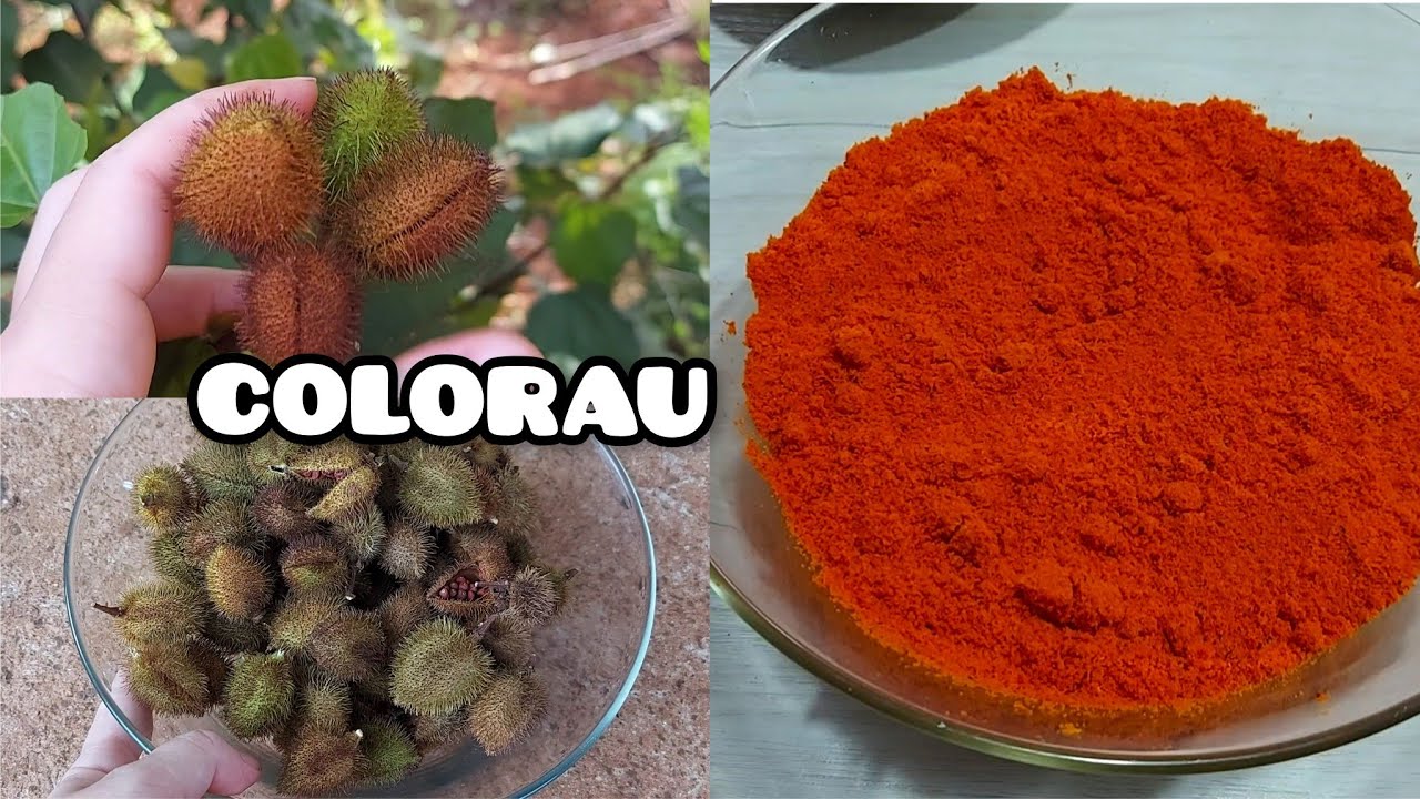 Como eu faço COLORAU feito no LIQUIDIFICADOR muito FÁCIL sem usar PILÃO ...