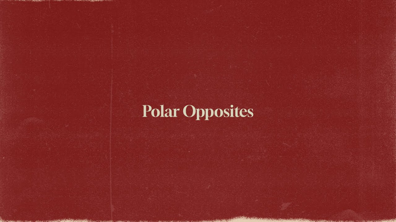 Coldiac - Polar Opposites (Visualizer Video) - YouTube