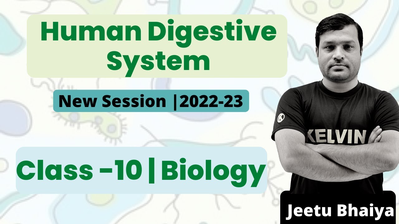Class 10 Biology Life Process | Class 10 Human Digestive System | Jeetu ...