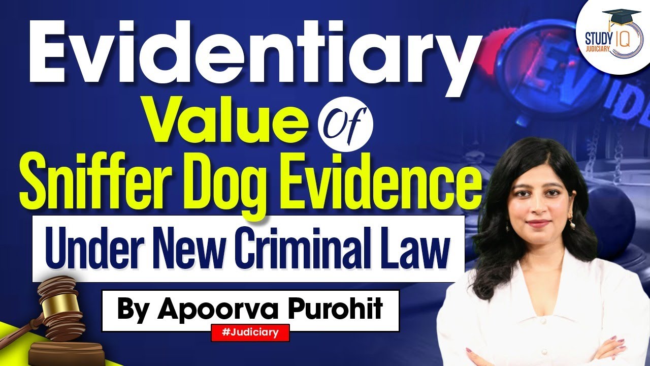 Evidentiary Value of Sniffer Dog Evidence Under New Criminal Law - YouTube