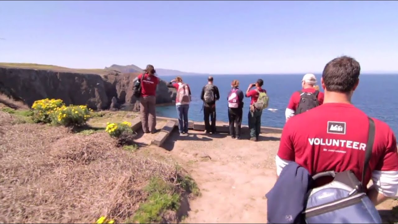 REI Oxnard visits Anacapa Island [2013] - YouTube