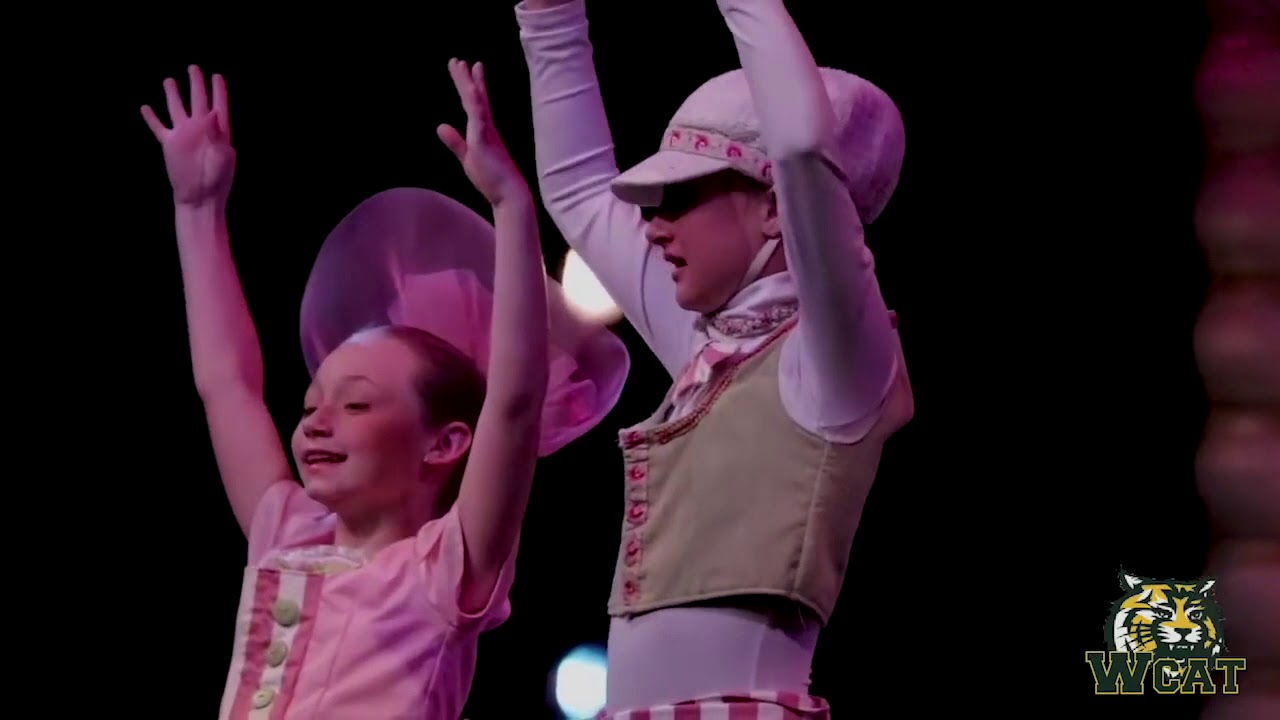 FSU Digital Media Production Demo Reel Molly Giberson (Accepted) - YouTube