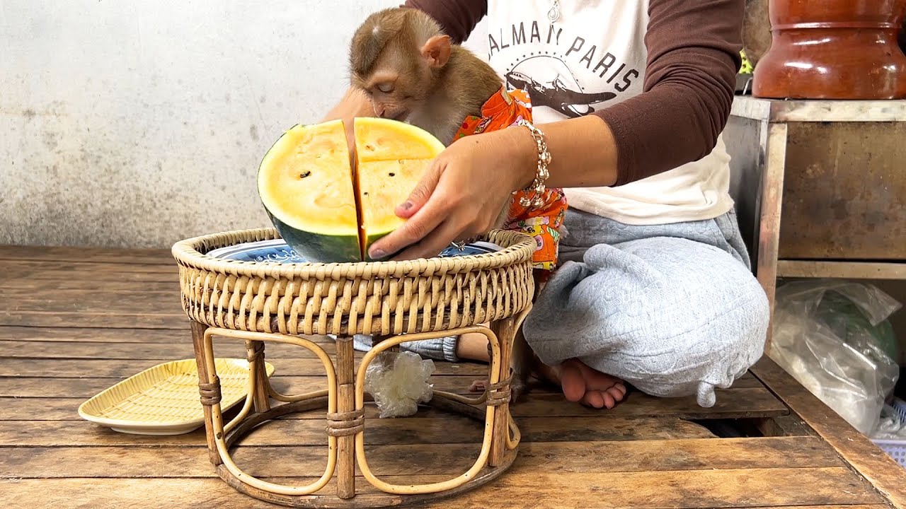 MODY Close His Eye And Inhale The Smell Of Fresh Honey Watermelon - YouTube
