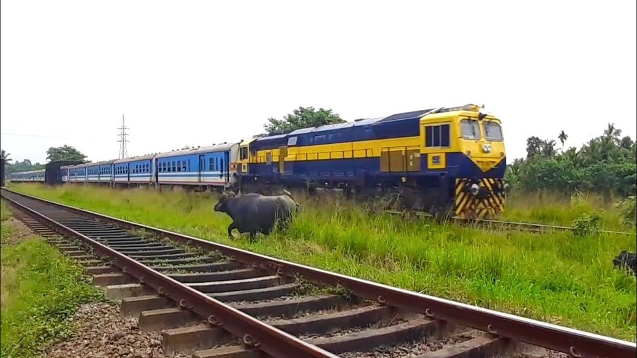 Class M11 Diesel Locomotives is hauling Polgahawela Express - YouTube