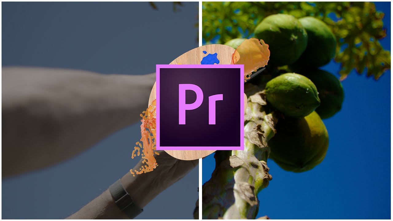 Canon C70 Raw Color Grading Tutorial - YouTube