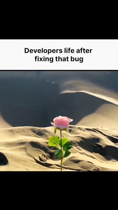 Developer life 😂 #Developer #coder #programming #bugs #trending #viralshort - YouTube