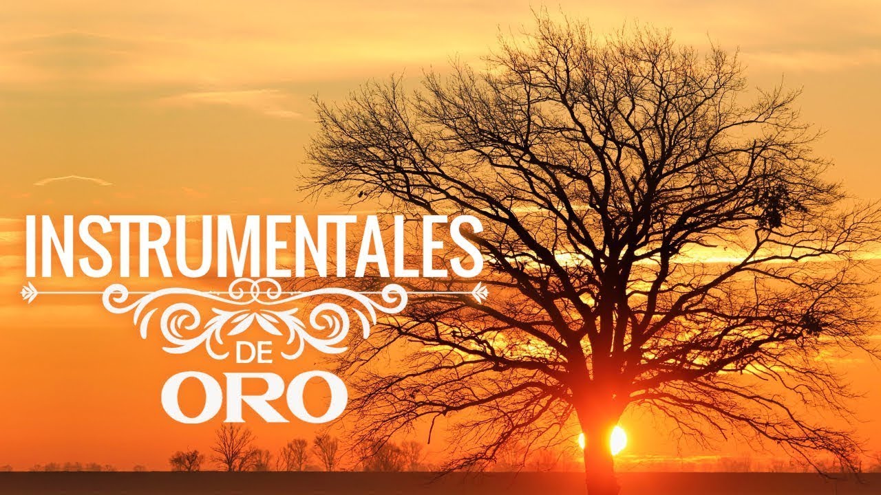 MÚSICA QUE YA NO SE OYE EN LAS RADIOS - Instrumentales de oro del ...