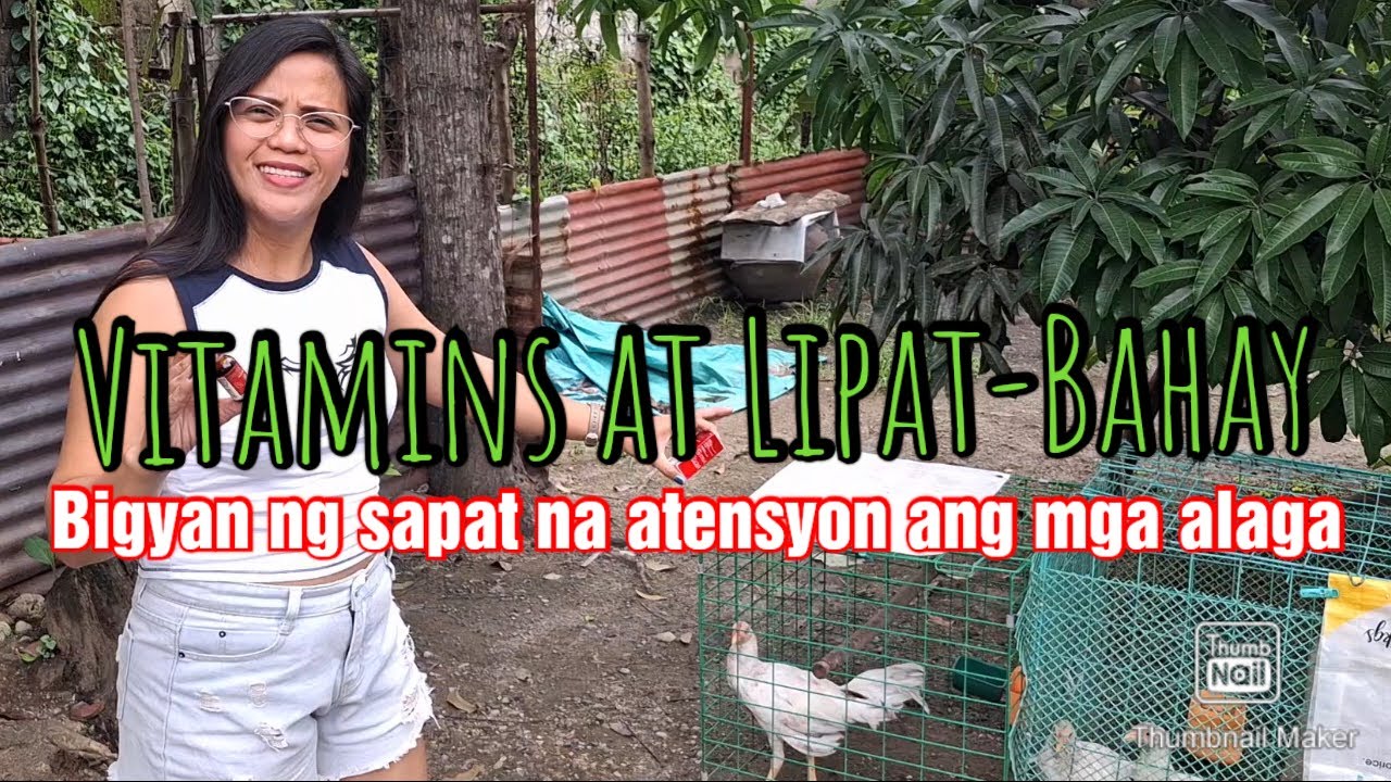 Nag Alsa Balutan ang mga White Kelso - YouTube