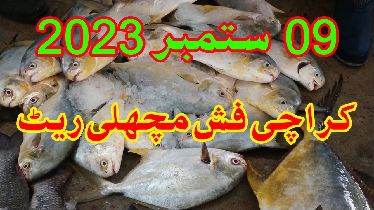 Karachi Fish Price Update || 09 September 2023 || Karachi Fish Rate ...