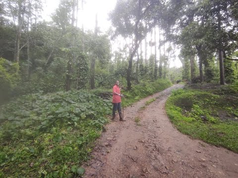 Malambi Hill, Malambi Forest, Somwarpet, Kodagu, Karnataka, India - YouTube