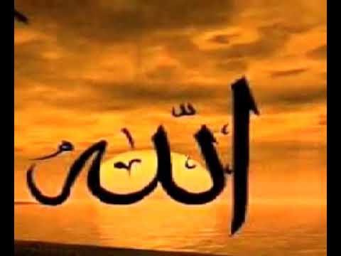 Elnur Əliyev Astara fani həyat şəkillərlə