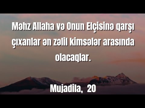 İslam Sobhi Mucadilə surəsi اسلام صبحي سورة المجادلة