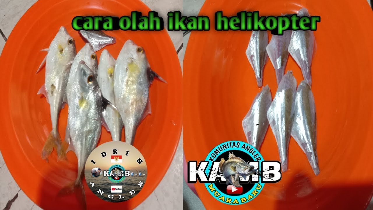 CARA MENGOLAH IKAN HELIKOPTER ATAU KAMBING KAMBING - YouTube