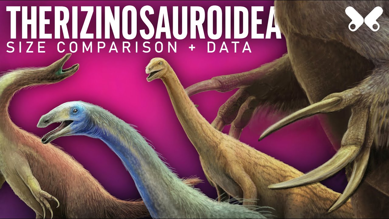 THERIZINOSAURIA Dinosaurs size comparison and data - YouTube