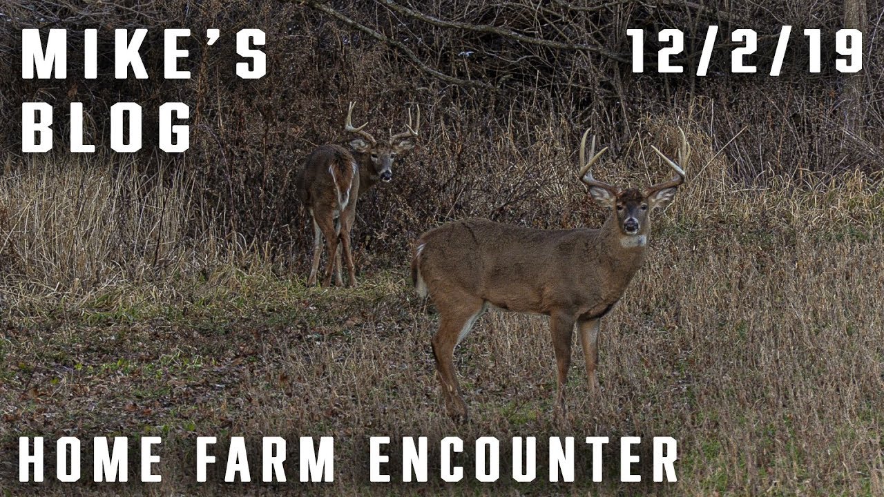 Mike's Blog: Close Call On Home Farm - YouTube