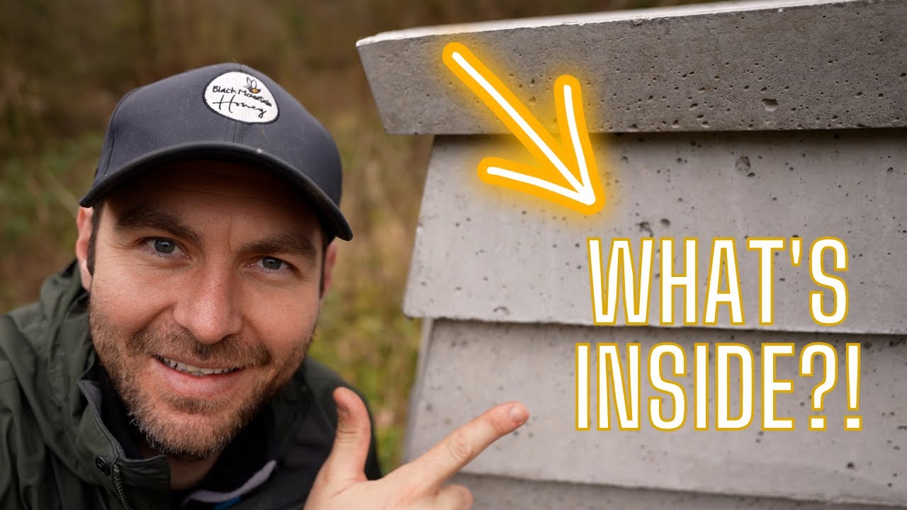 Concrete Hives NOW HAVE BEES! - YouTube