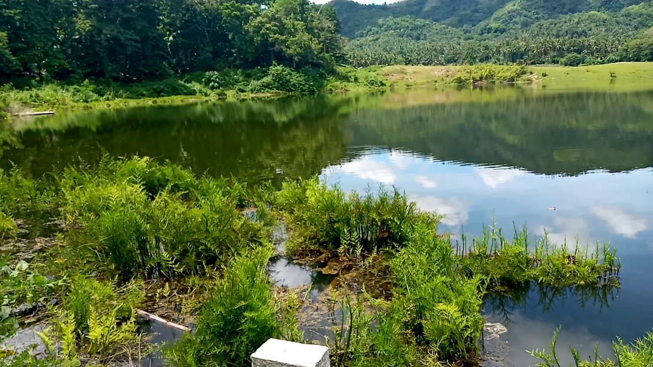 Other side of Tubigon - YouTube