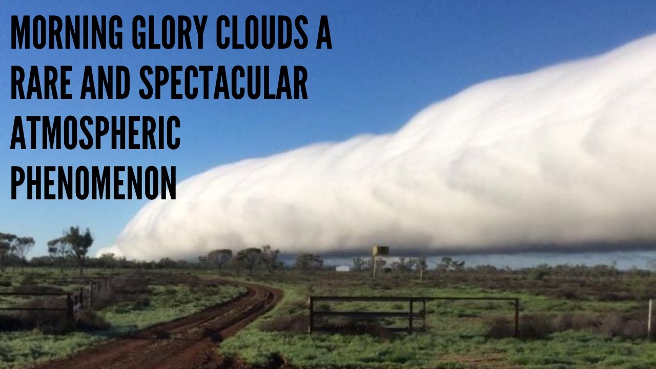 Morning Glory Clouds A Rare and Spectacular Atmospheric Phenomenon ...
