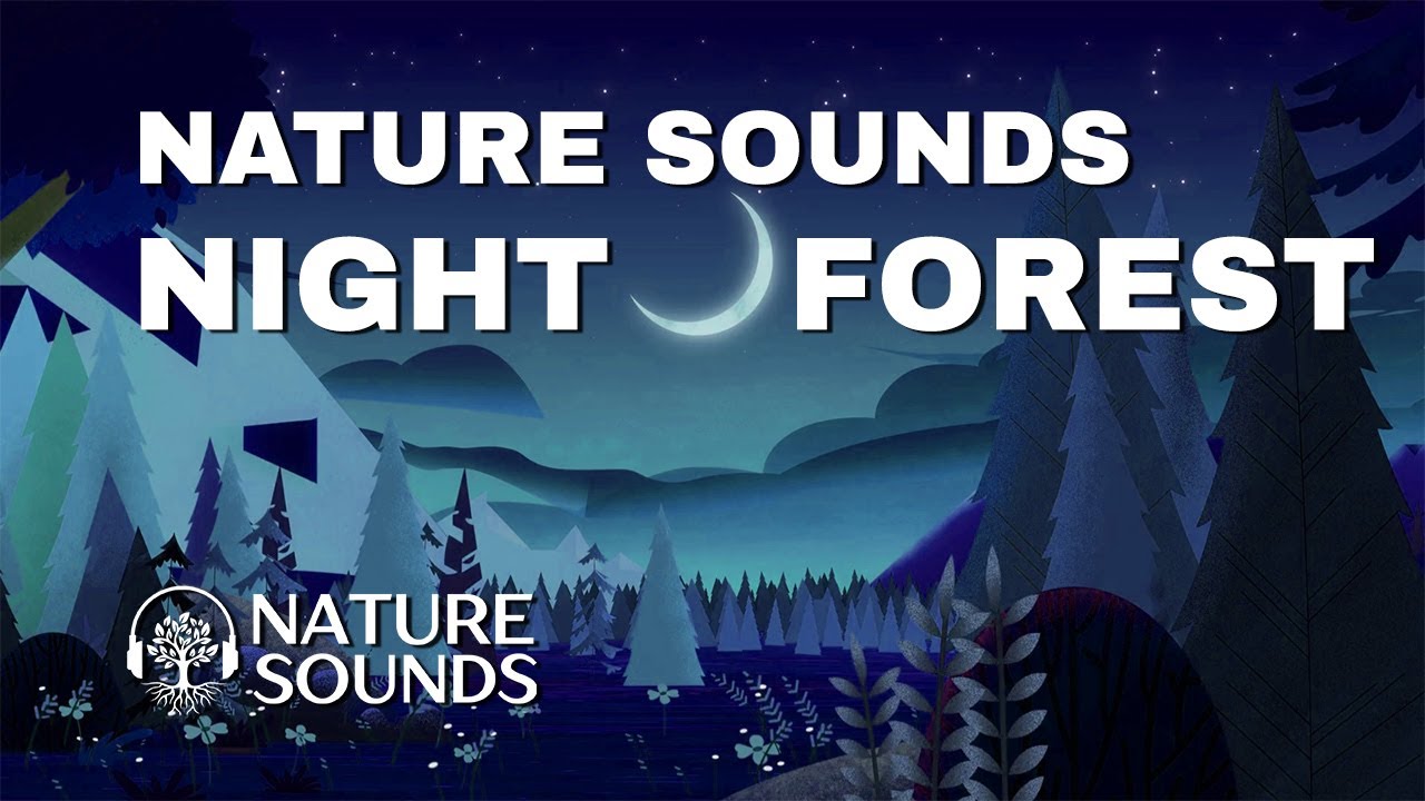 Nature Sounds, Forest Sounds, Ambience Sound Of Nature, Nature Sleep ...