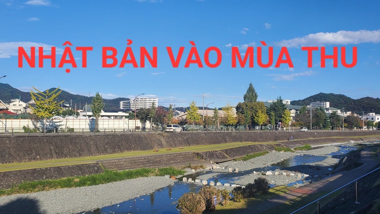 BAT DAU VAO MUA THU NHAT BAN | CONG TY NHAT CO TOT KHONG | CUOC SONG NHAT BAN - YouTube