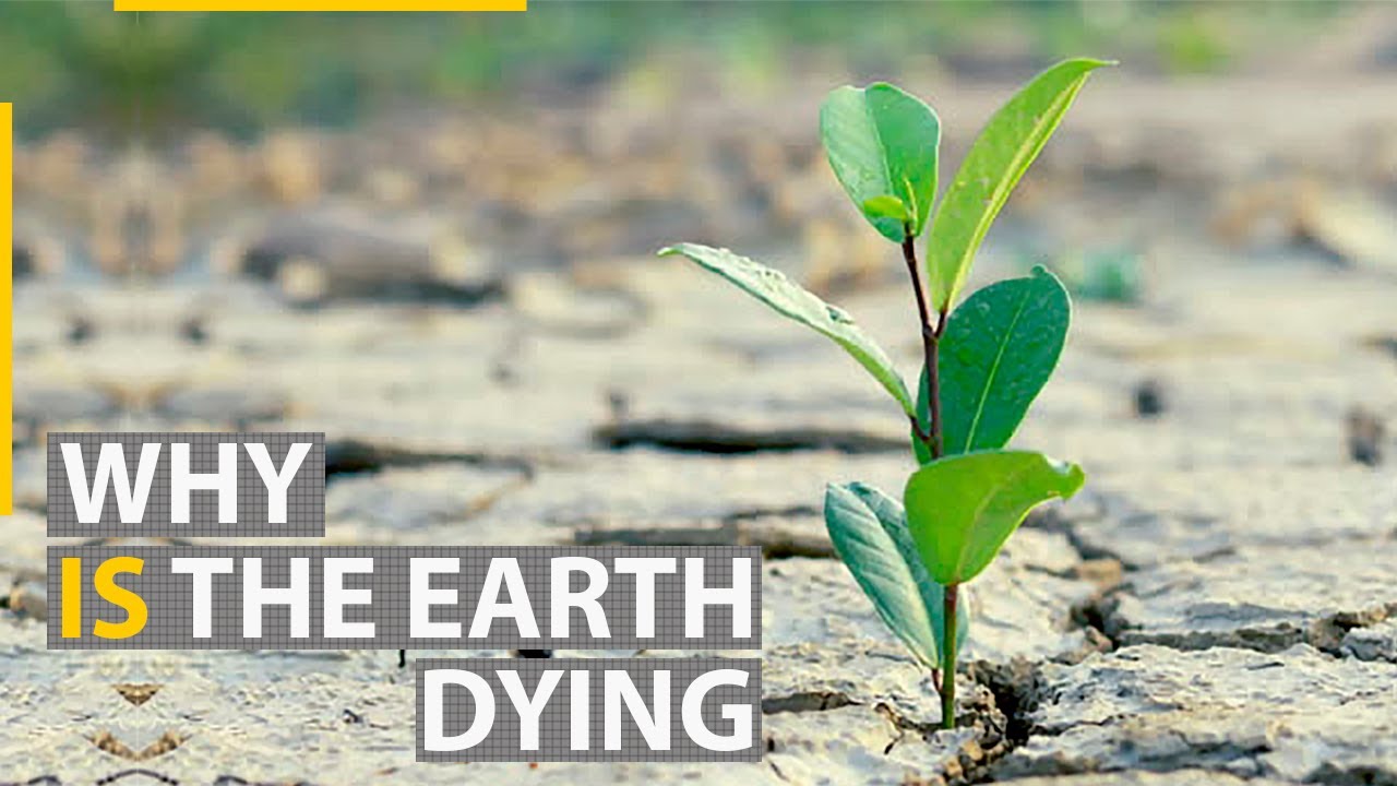 Why is the soil rapidly dying? - YouTube