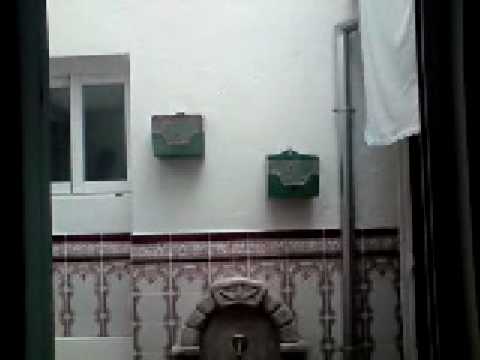 Mixtos de verderon de concurso y un verderon