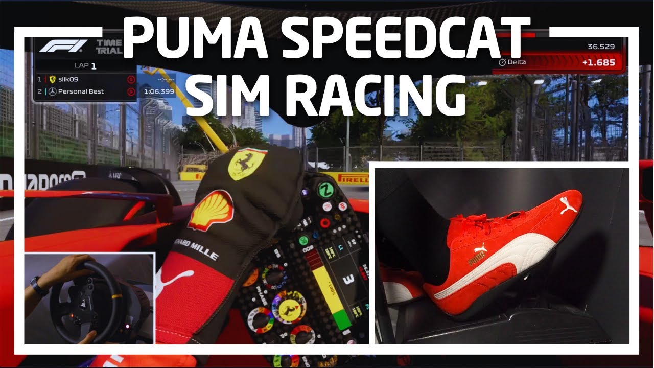 Puma Speedcat For Sim Racing? | F123 Cockpit Camera - YouTube