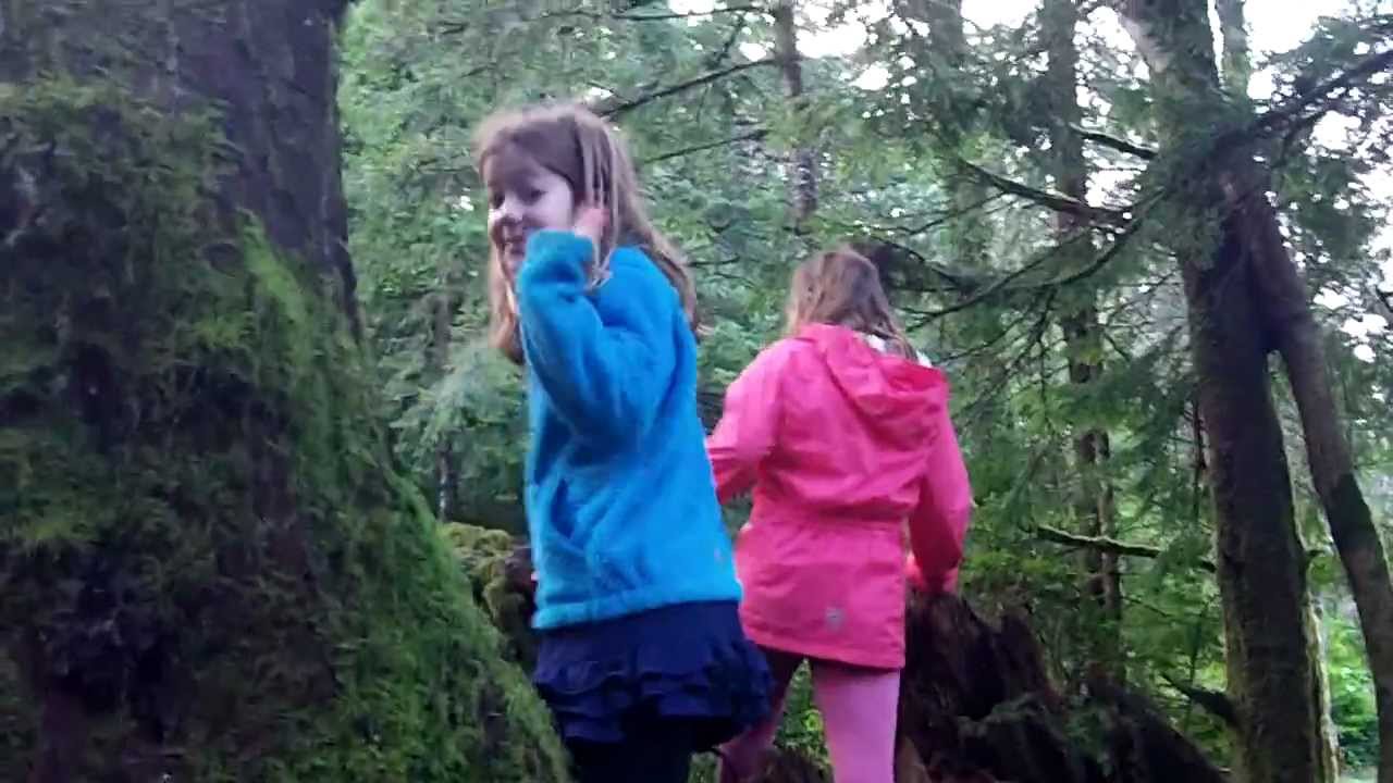 Camping Youtube