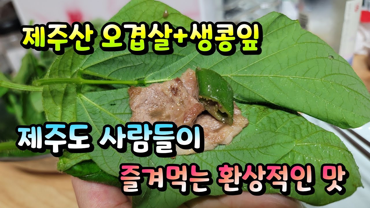 제주산오겹살생콩잎 제주도 사람들이 즐겨먹는 환상적인 맛 뽄쟁이다육 제주도 다육식물 다육이키우기 다육이 다육하우스