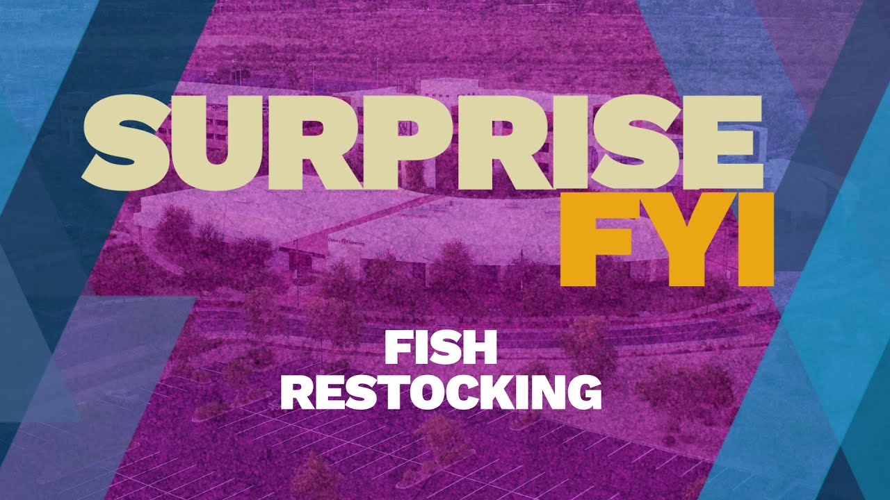 Surprise FYI - Fish Restocking - YouTube