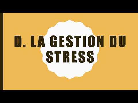 Le stress et la gestion du stress - YouTube