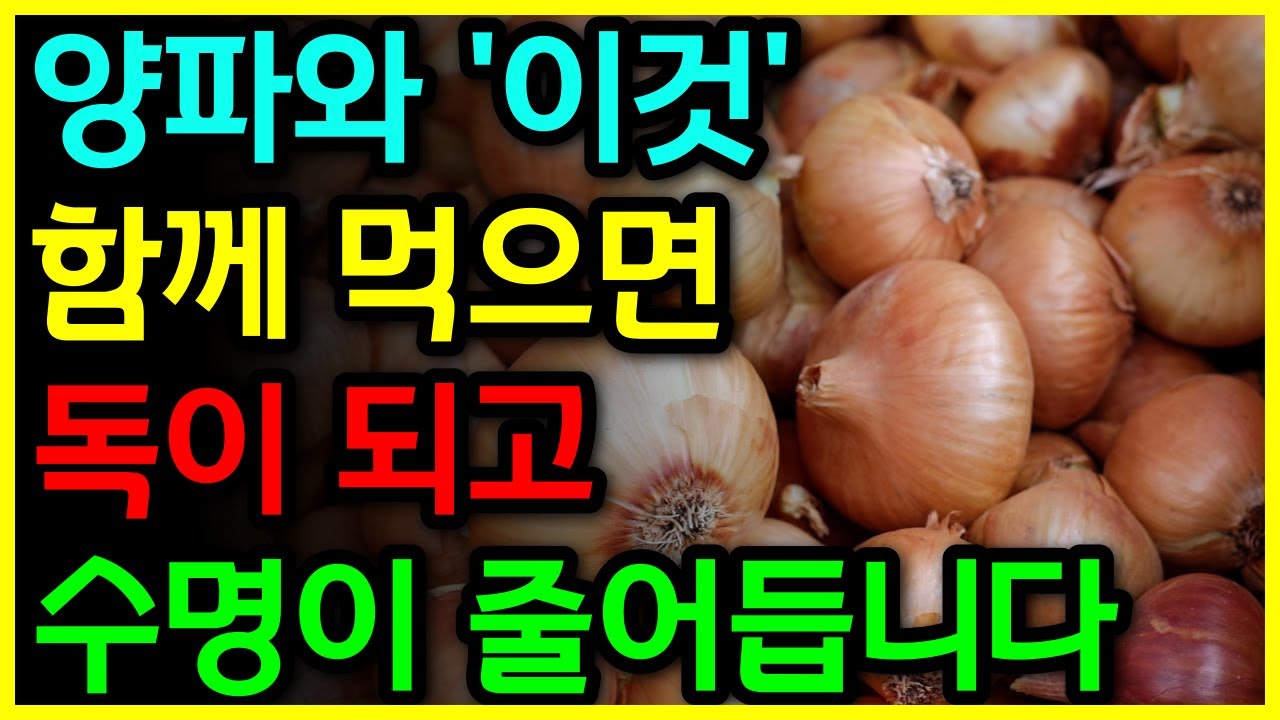 양파와 이것 함께 먹으면 독이 되고 수명이 줄어듭니다 양파와 함께 먹으면 좋은 음식과 안 좋은 음식 알아보기 Youtube