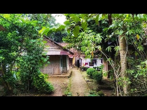 SUasana kaMpung kadUBongkok Desa ciGandeng Menes - pandeGlang bikin Heboh ketemU ibu² Nya 