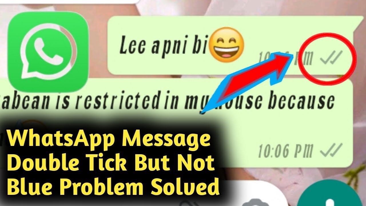 WhatsApp Message Double Tick But Not Blue Problem Solved - YouTube
