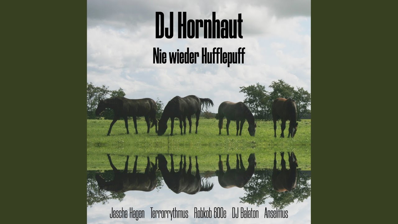 Frankfurter Aale (Robkob 600e Remix) - YouTube