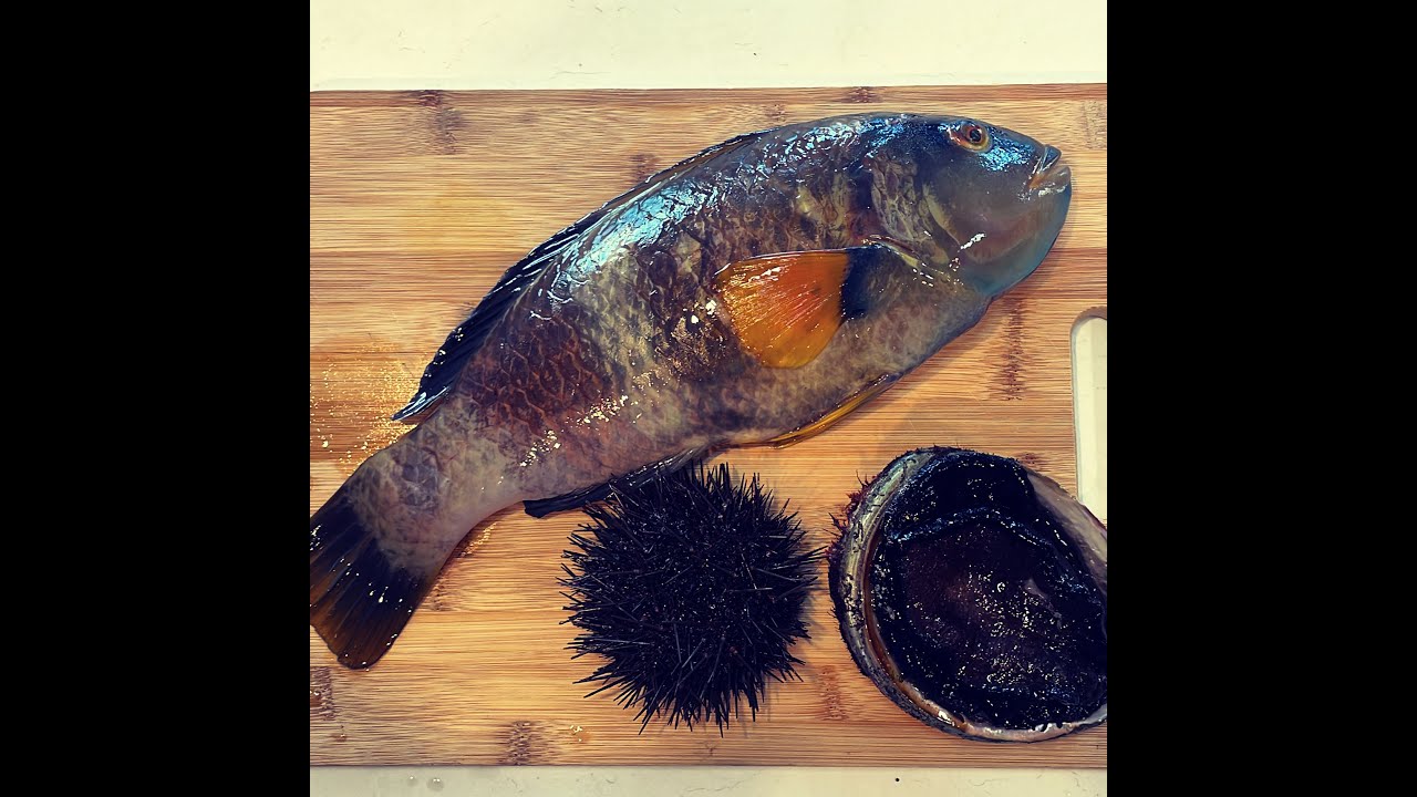 Urchin Roe Nigiri, Tempura Bowl W Black Lip Abalone, Blue throat Wrasse ...