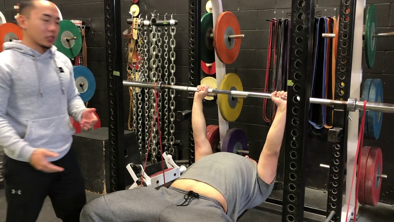 Barbell Bench Press w/ Bands - Instructional Video - YouTube