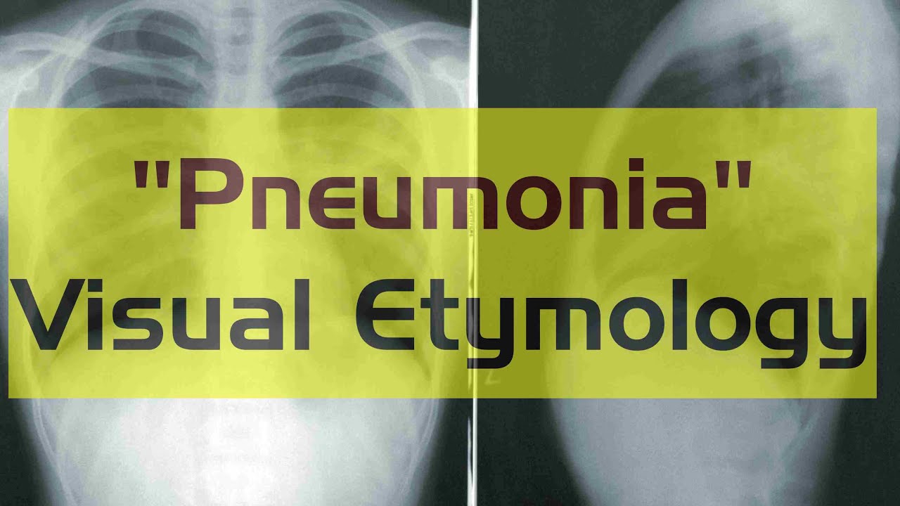"Pneumonia" Visual Etymology (History And Origin Of The Word) - YouTube