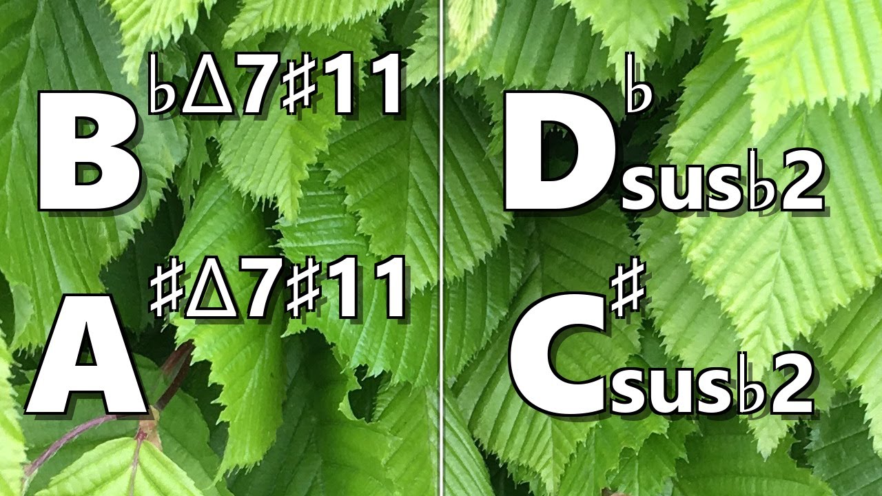 Bbmaj7#11 (A#maj7#11) to Dbsus b2 (C#sus b2) Backing Track - YouTube