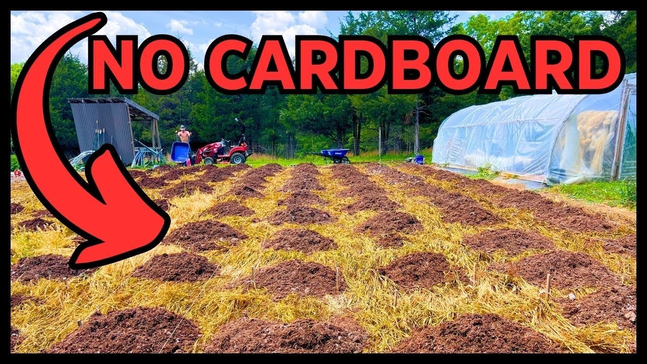 HOW TO BUILD THE ULTIMATE NO DIG GARDEN! (USING COVER CROPS AS A SHEET ...